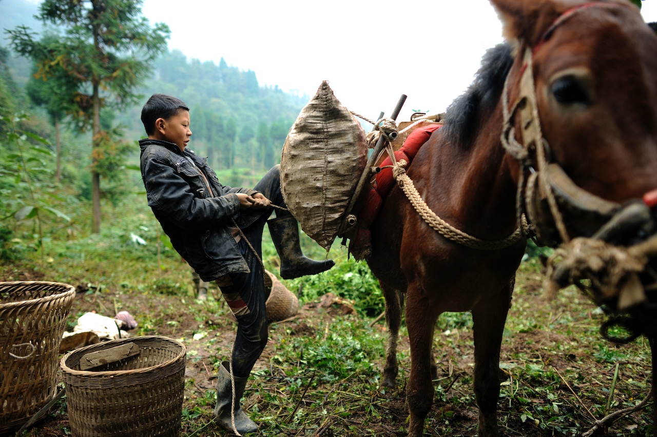 Life After Luce - Henry Luce